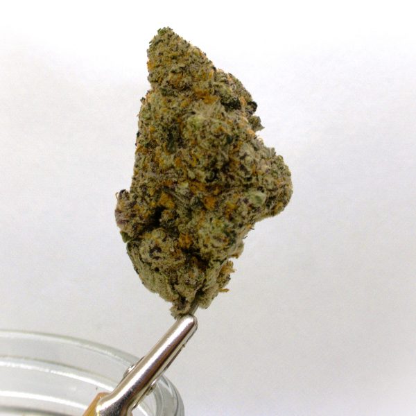 Hybrid | AA, AAA and AAAA Strains | The Purple Leaf