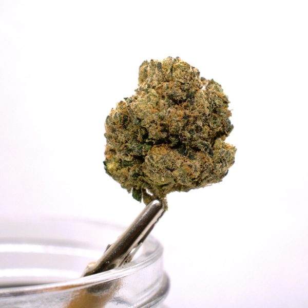 Hybrid | AA, AAA and AAAA Strains | The Purple Leaf