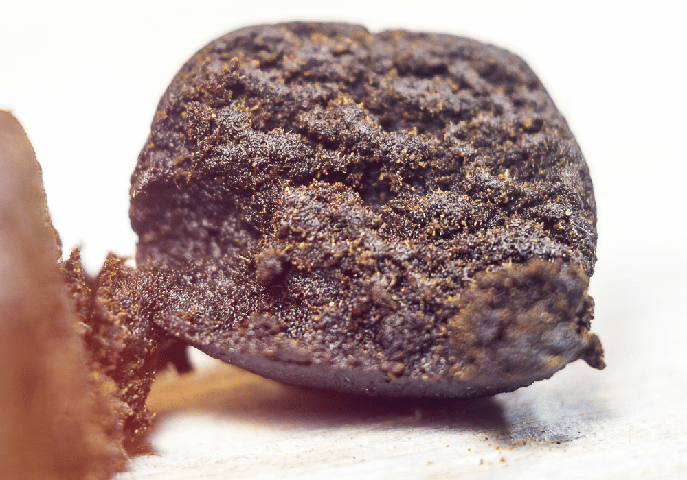 Popular Kinds Of Hash | The Purple Leaf